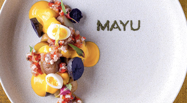 Mayu Miami: un viaje gastronómico a las raíces andinas en el corazón de ...