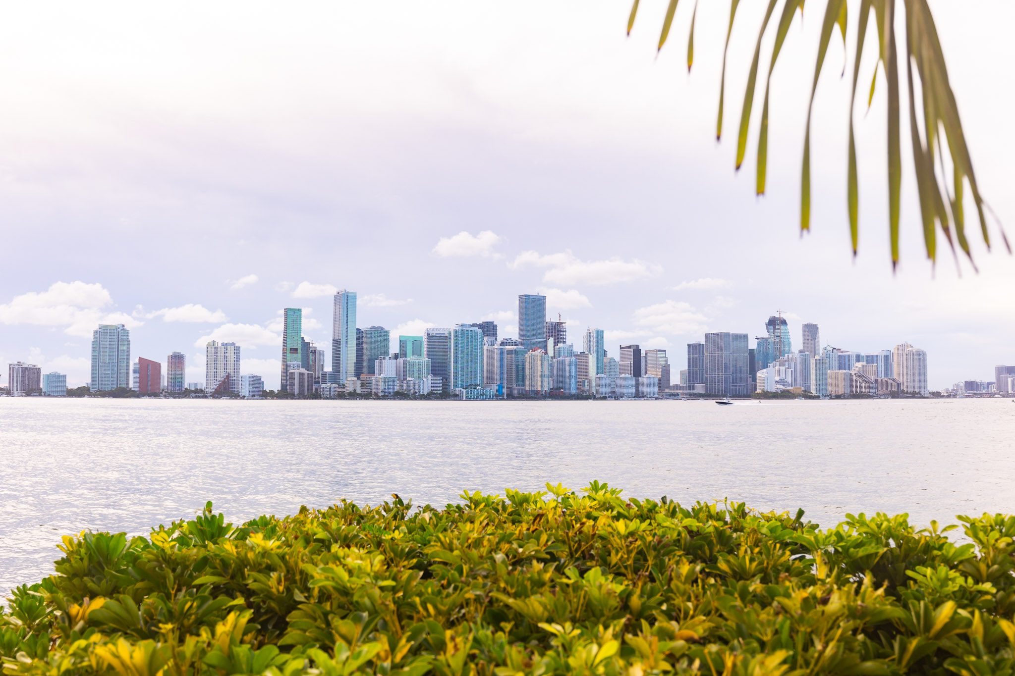 Explora los Sabores de Miami Spice 2024: Nuevos Menús, Restaurantes ...